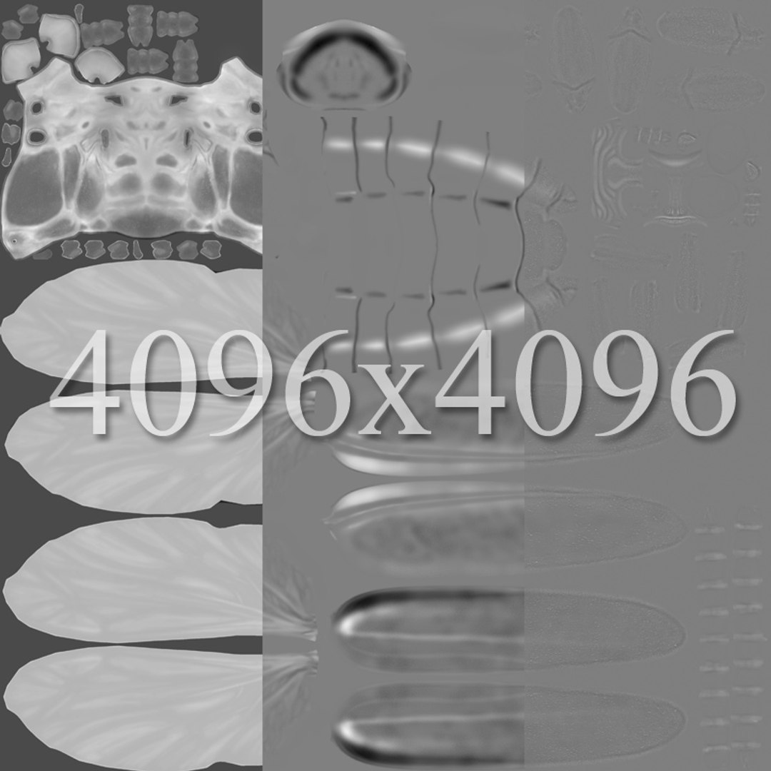 Max Firefly Bug Flying Pose