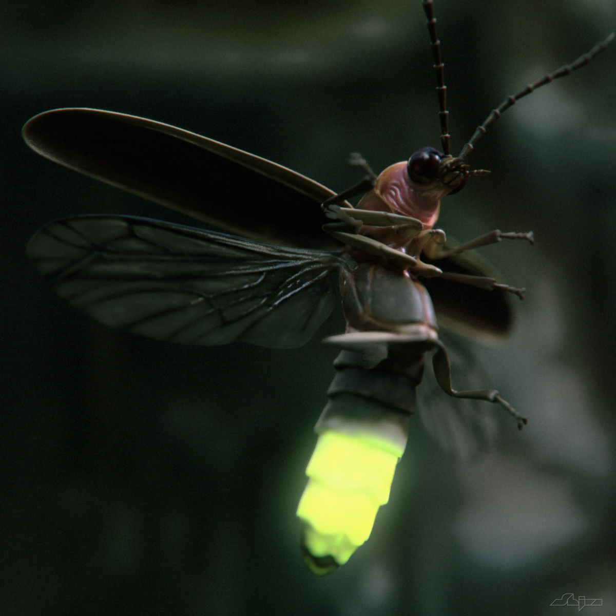 max firefly bug flying pose