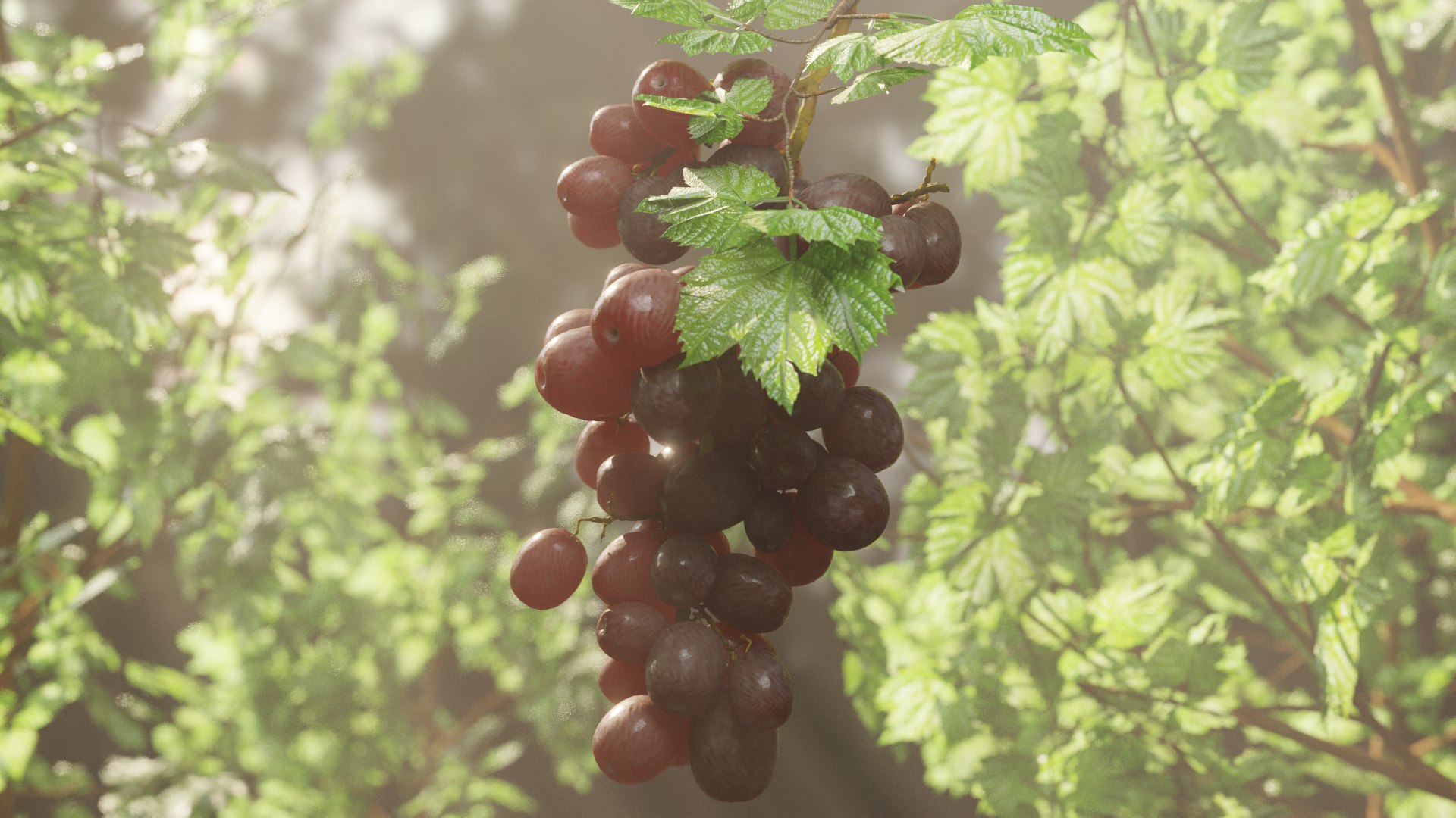 3D GRAPES - TurboSquid 1971760