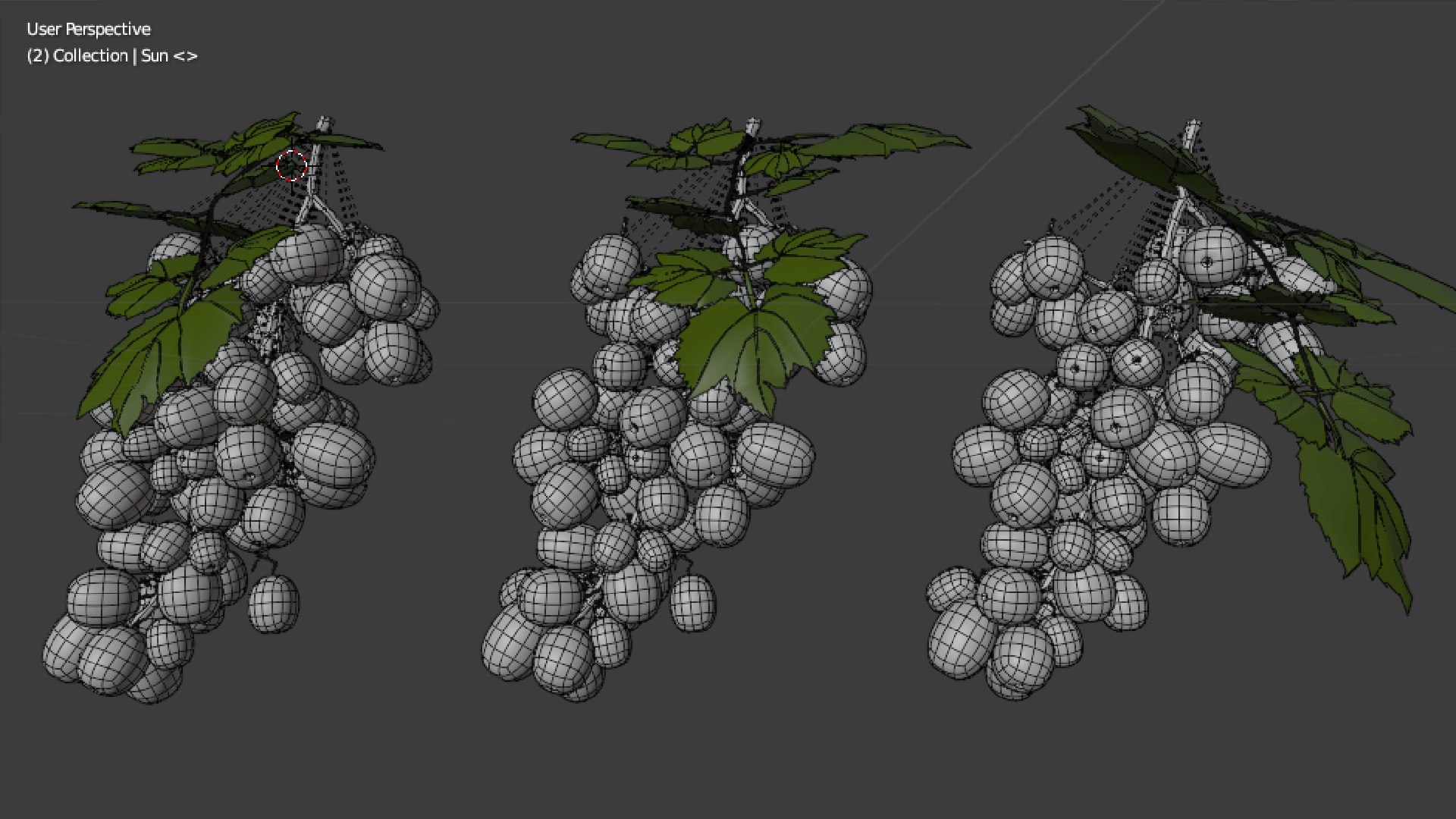 3D GRAPES - TurboSquid 1971760