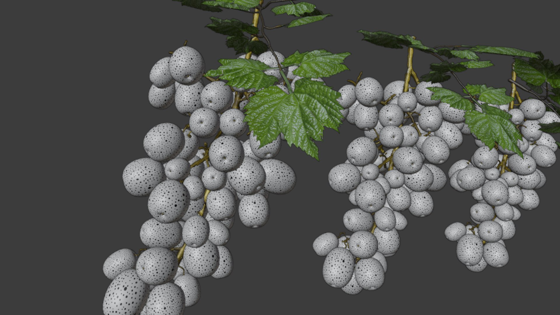 3D GRAPES - TurboSquid 1971760