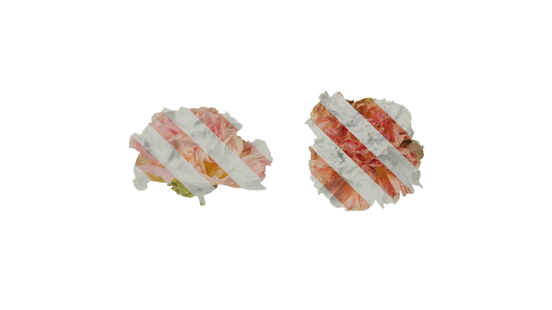 Anydrafts Alcea Rosea Flower 11 Textures 3D Model - TurboSquid 2351965