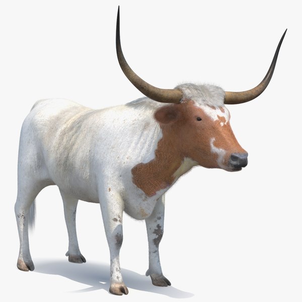 Free 3D Bull Models | TurboSquid