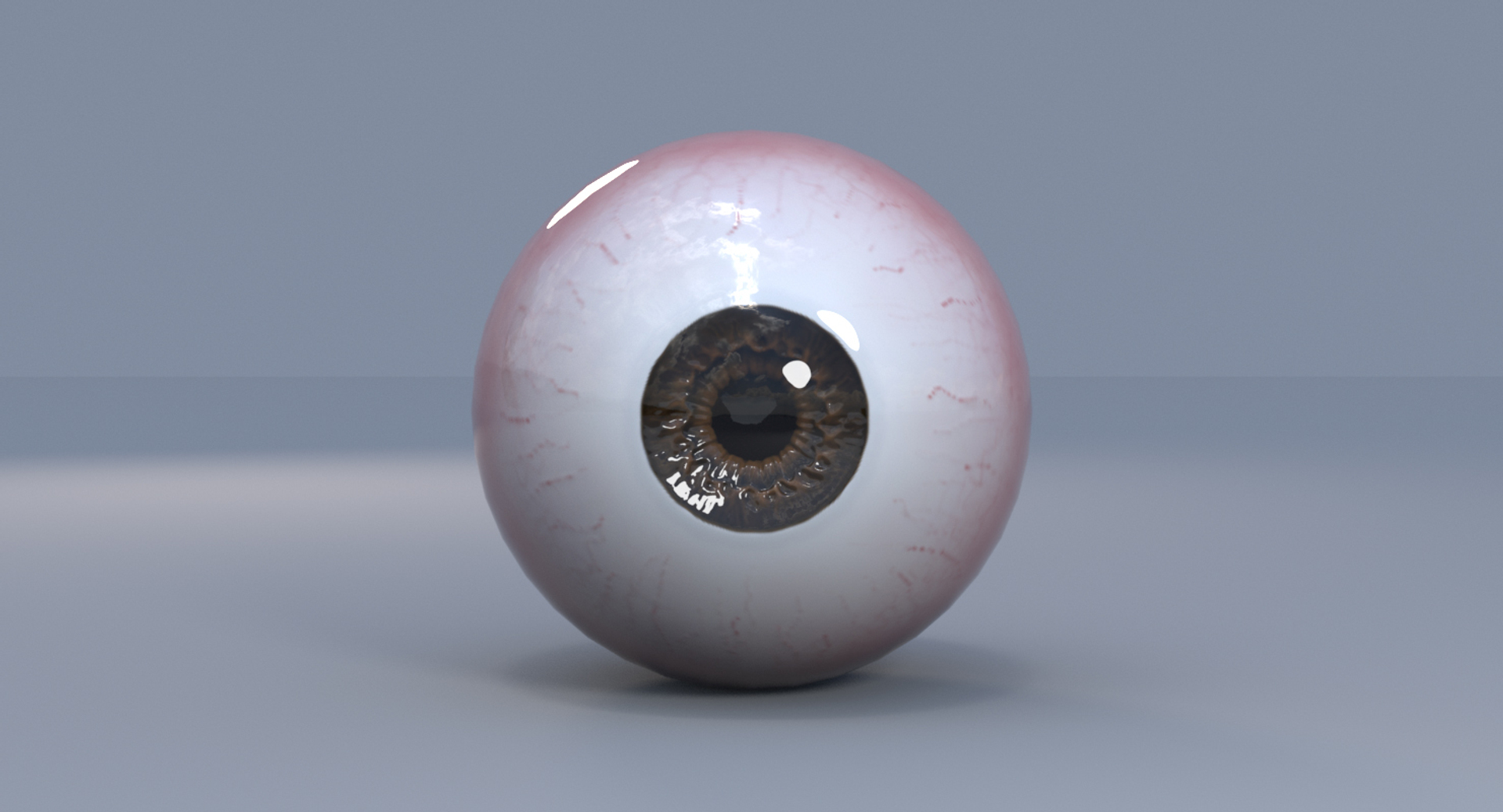 Realistic Human Eye Ball Model - TurboSquid 1382125