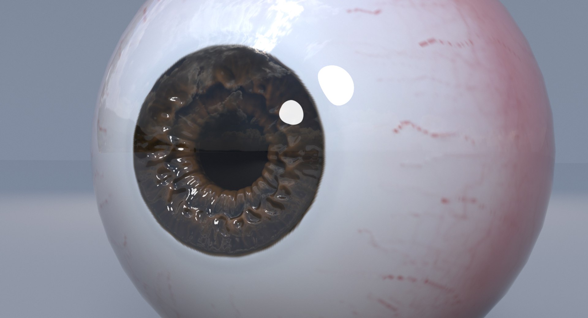 Realistic Human Eye Ball Model - TurboSquid 1382125
