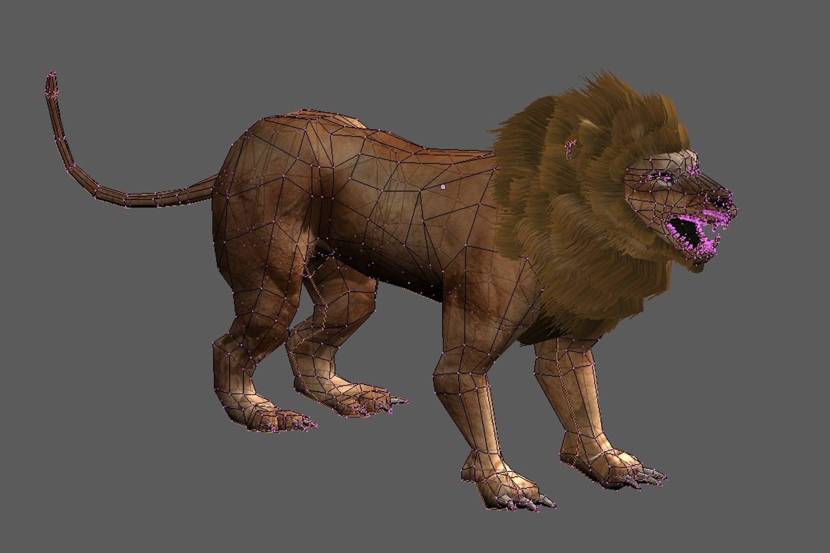 blender lion plane hair