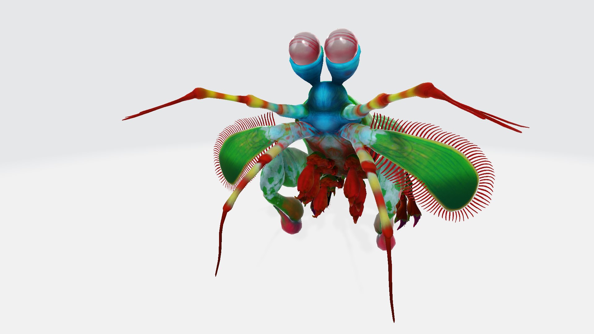 Mantis Shirmp 3D Model - TurboSquid 2294938