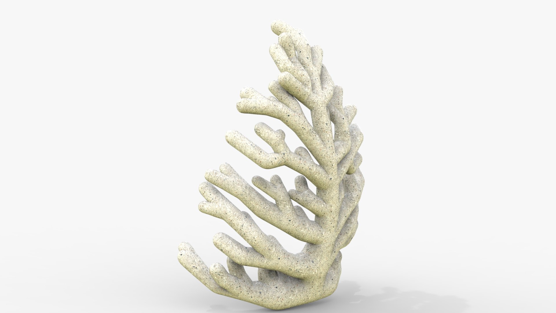 3D Coral 3D Model - TurboSquid 2069220