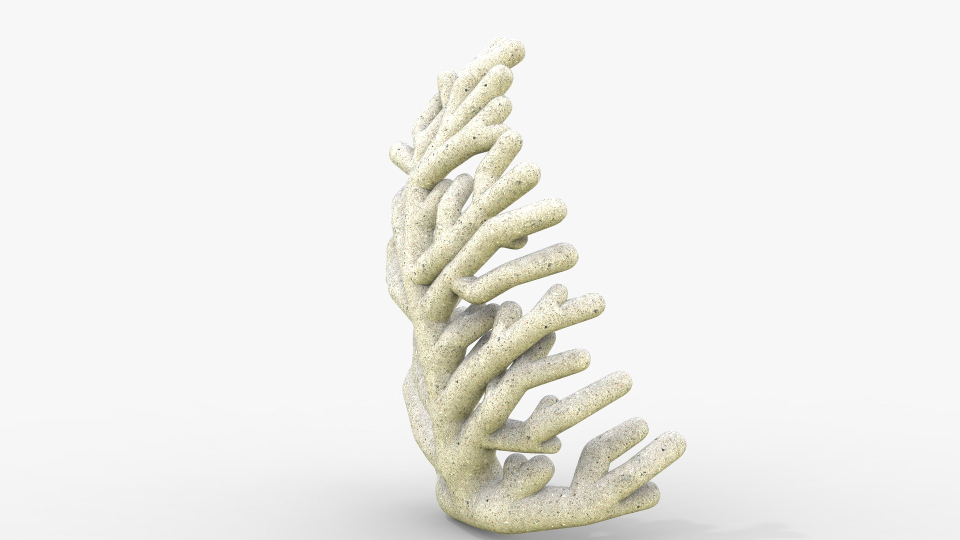 3D Coral 3D Model - TurboSquid 2069220