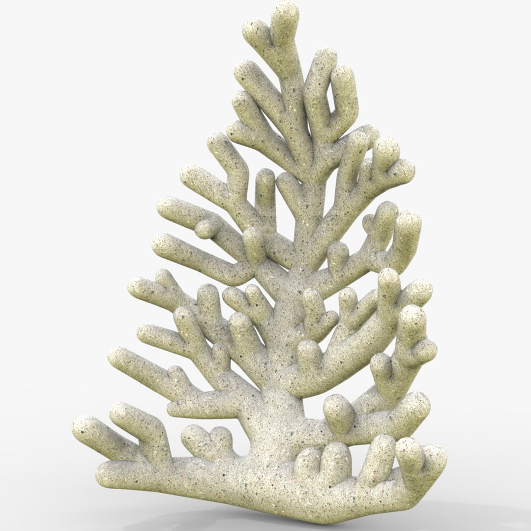 3D Coral 3D Model model - TurboSquid 2069220