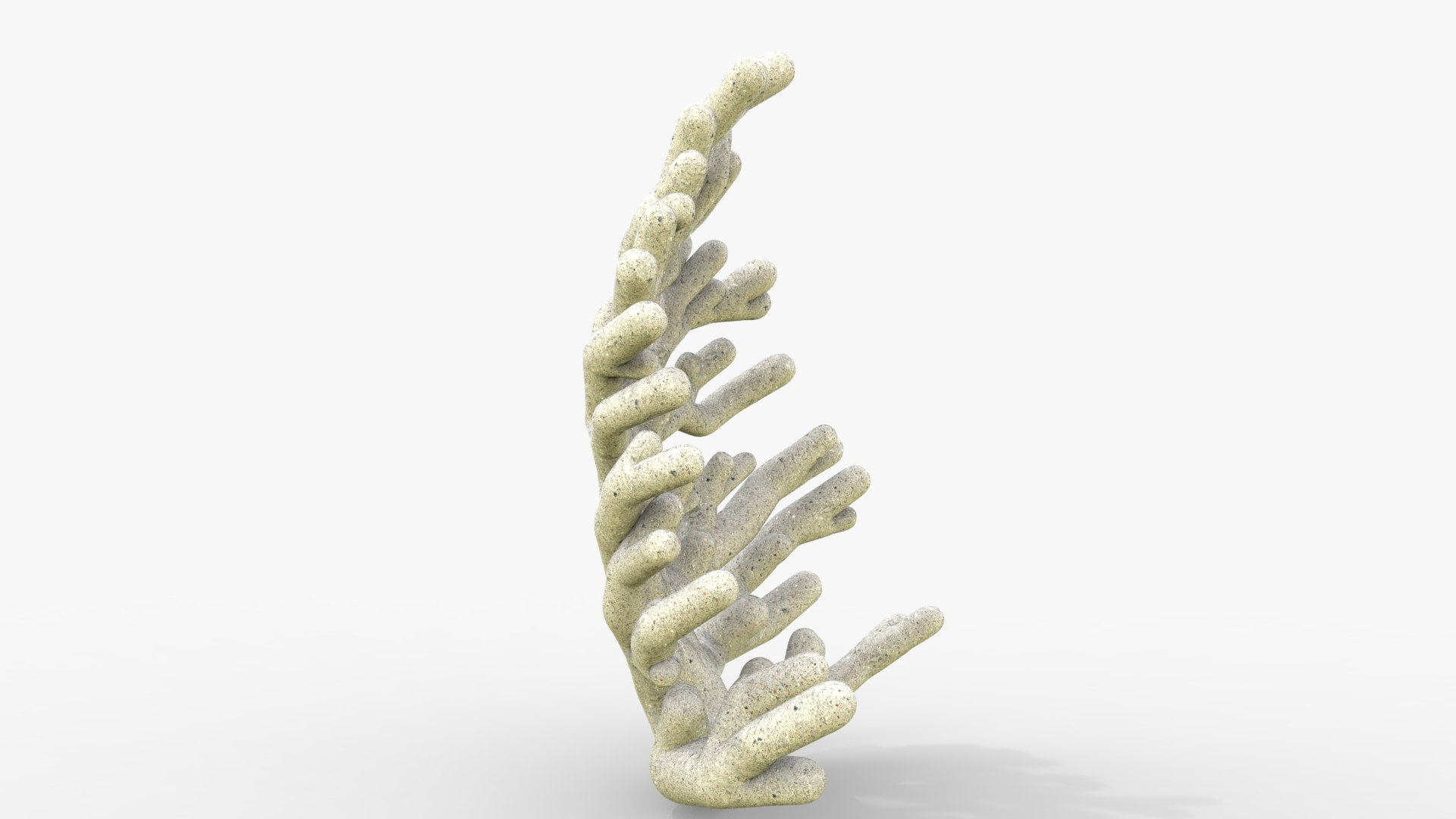 3D Coral 3D Model - TurboSquid 2069220