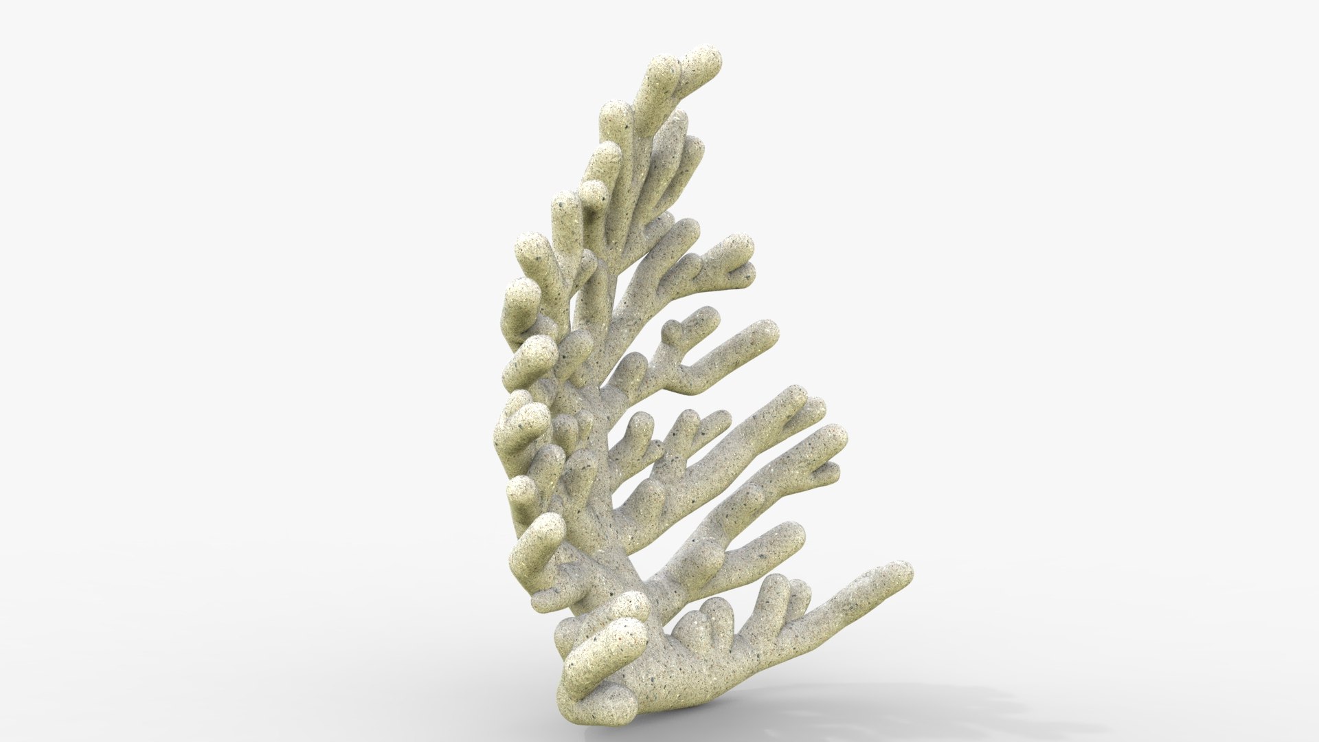 3D Coral 3D Model - TurboSquid 2069220