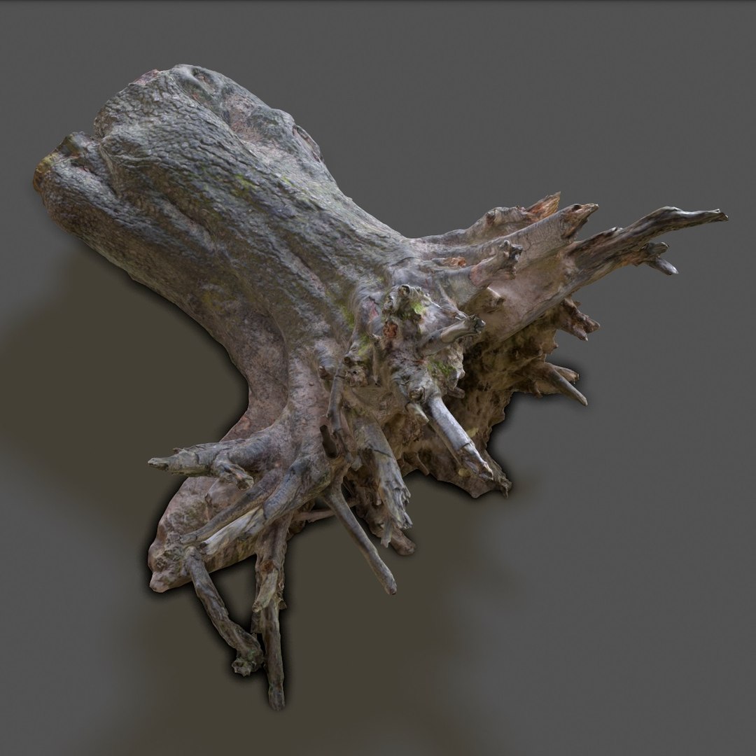 3d Model Tree 6