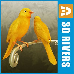Animal 3D Models for Download | TurboSquid