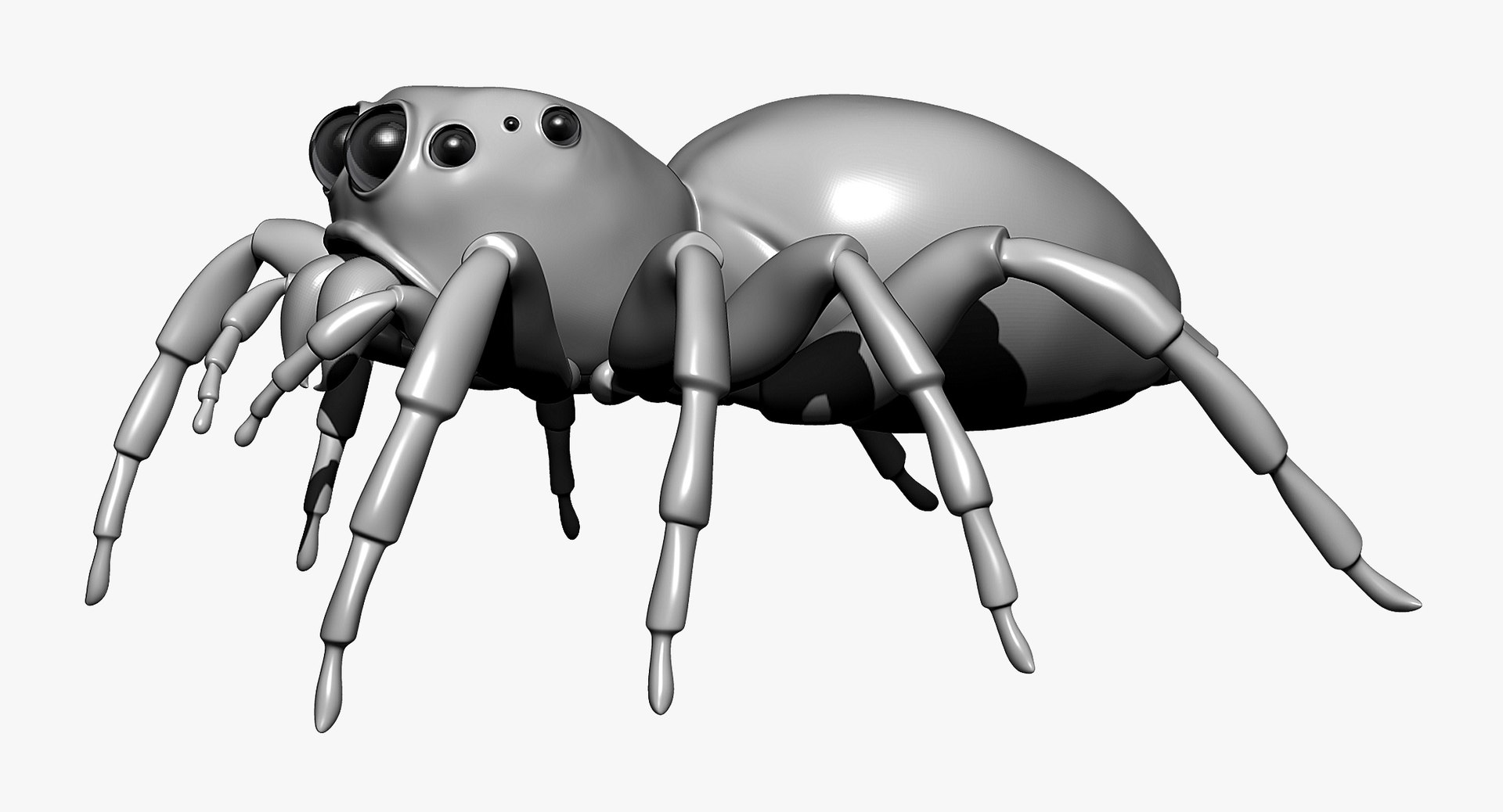 Jumping Spider 3D Model - TurboSquid 1379482