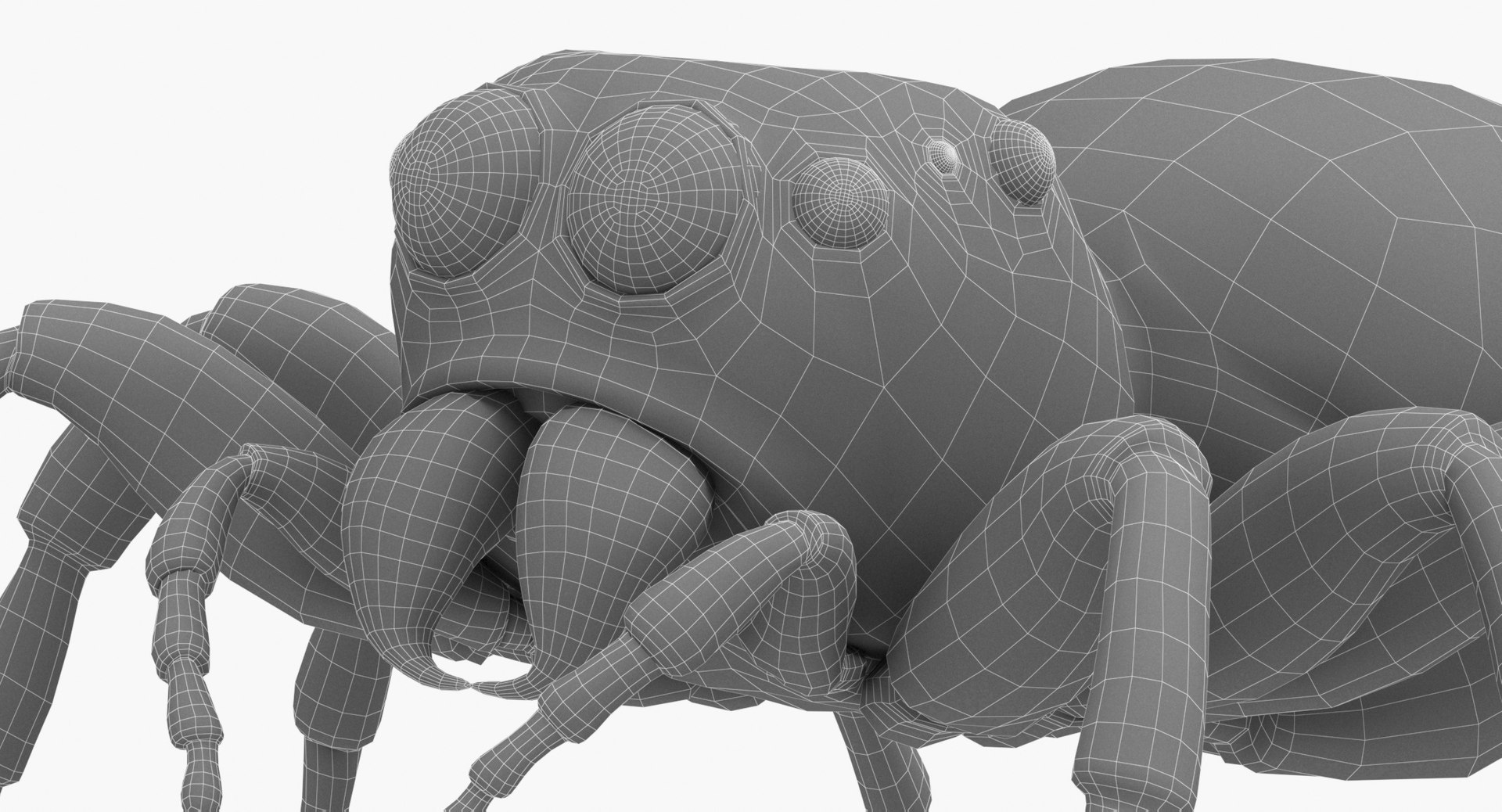 Jumping Spider 3D Model - TurboSquid 1379482