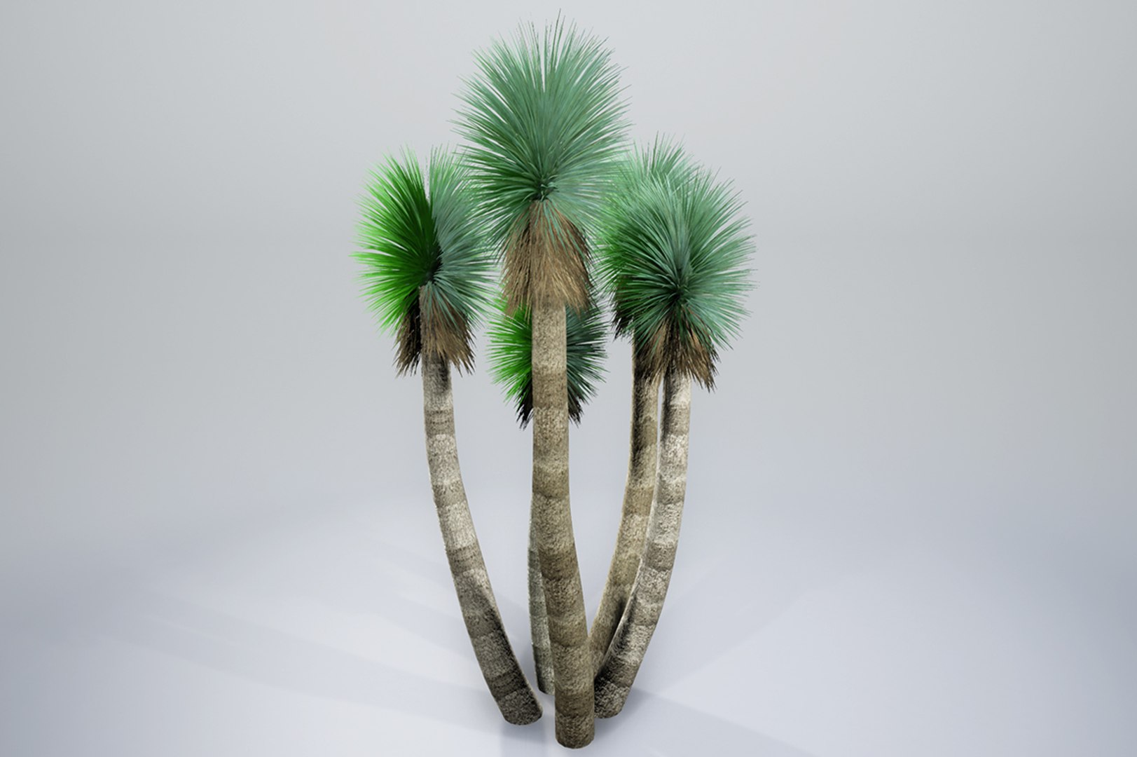 Yucca Pbr 3D Model - TurboSquid 1359777