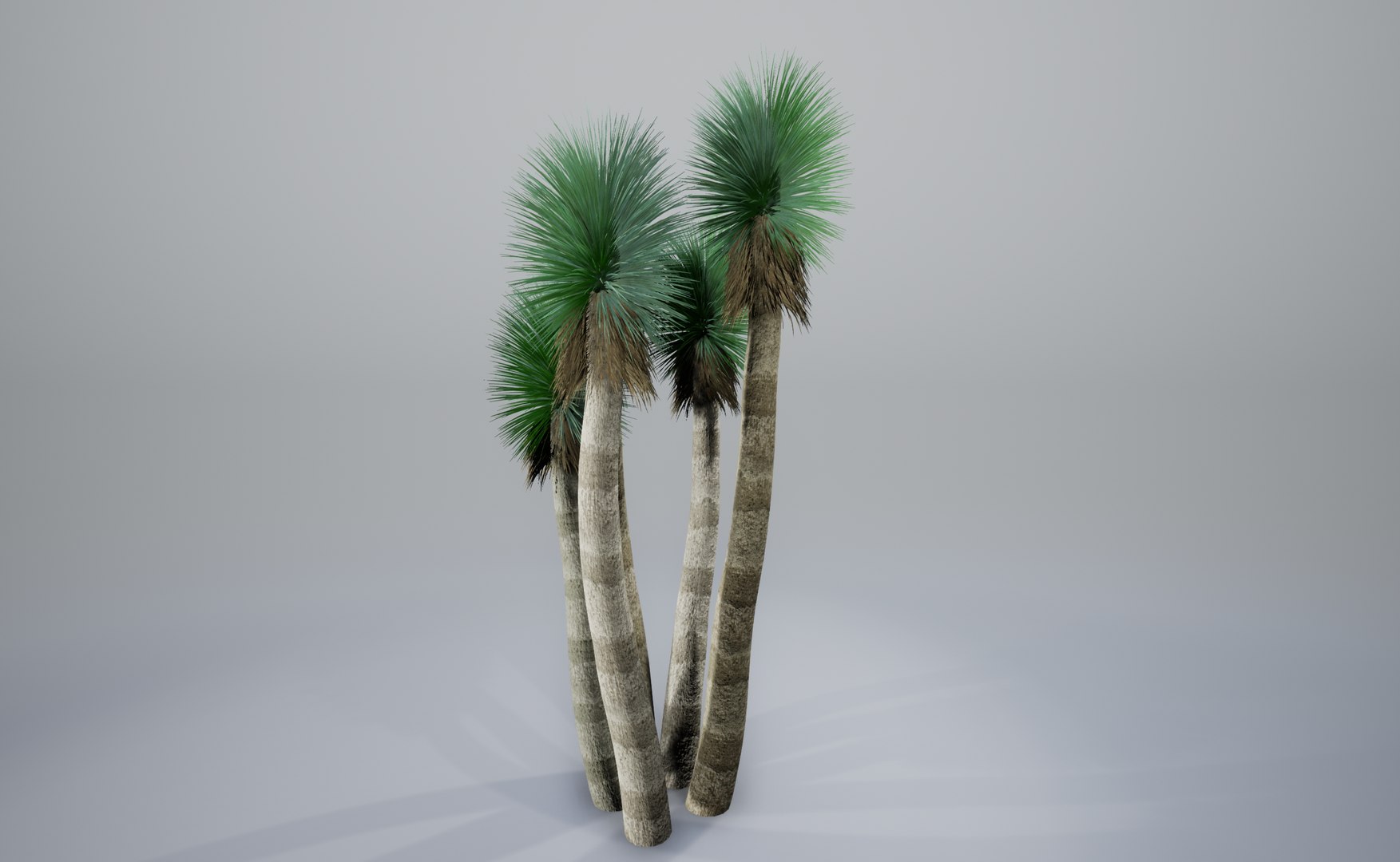 Yucca Pbr 3D Model - TurboSquid 1359777