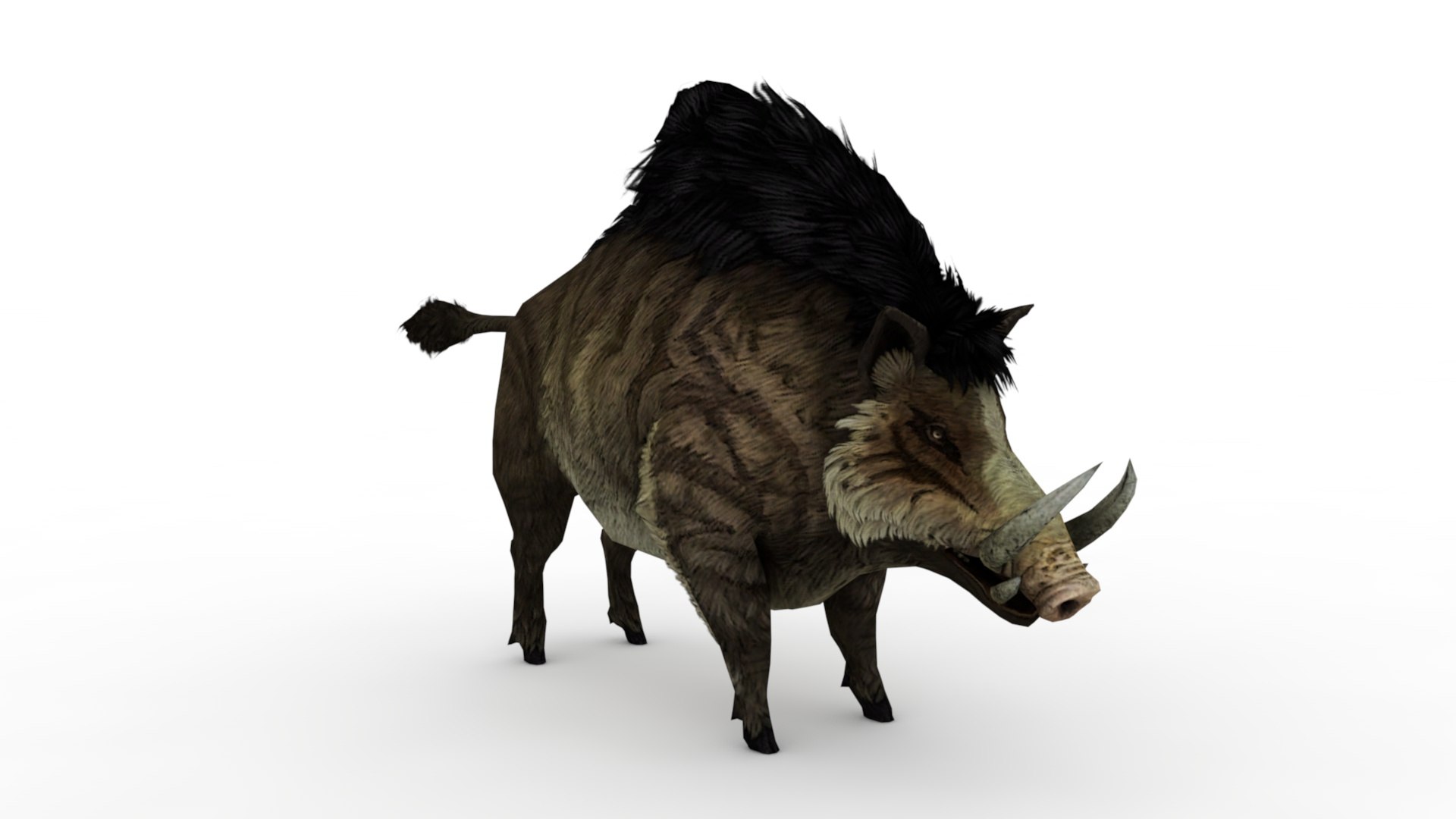 Wild Boar Model - TurboSquid 1929124