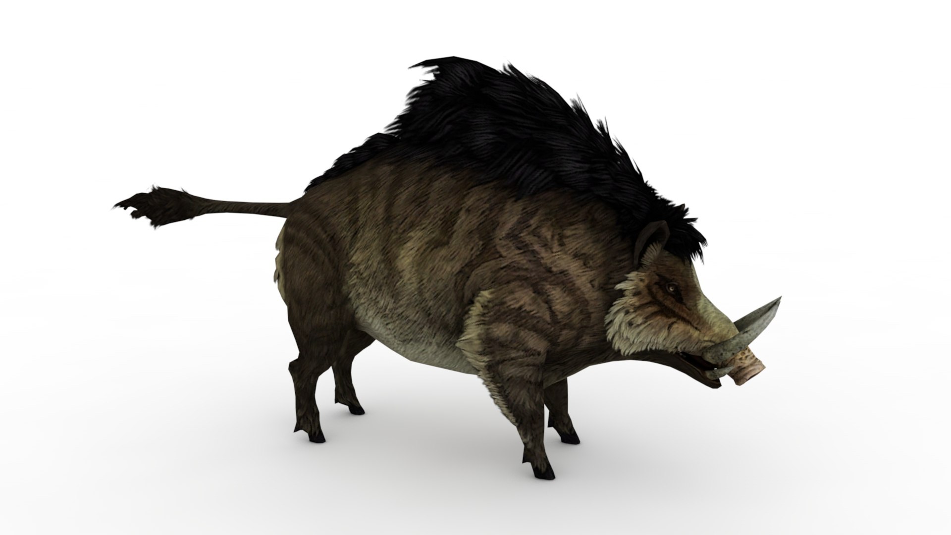 Wild Boar Model - TurboSquid 1929124
