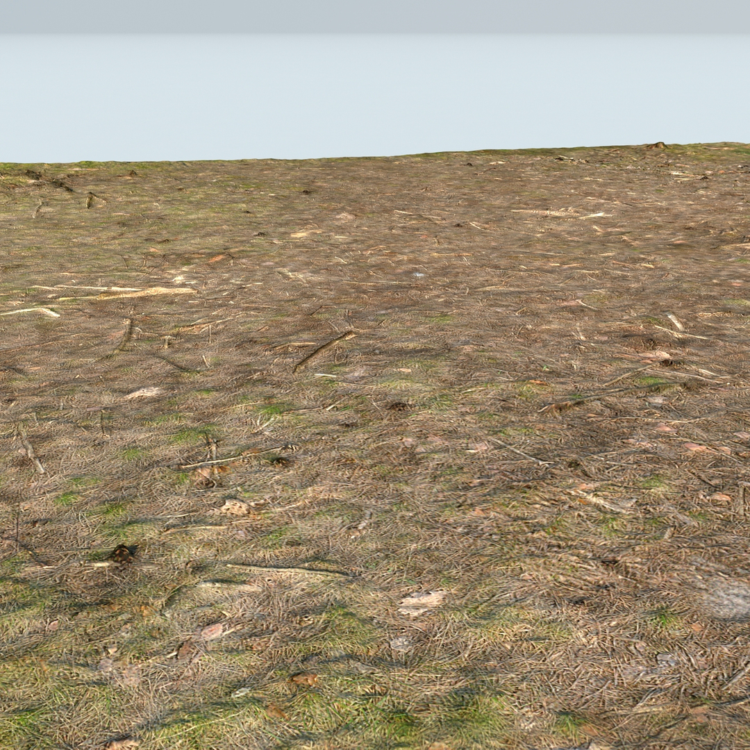 3d scan grass model