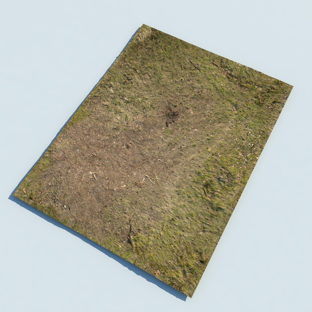 3d scan grass model