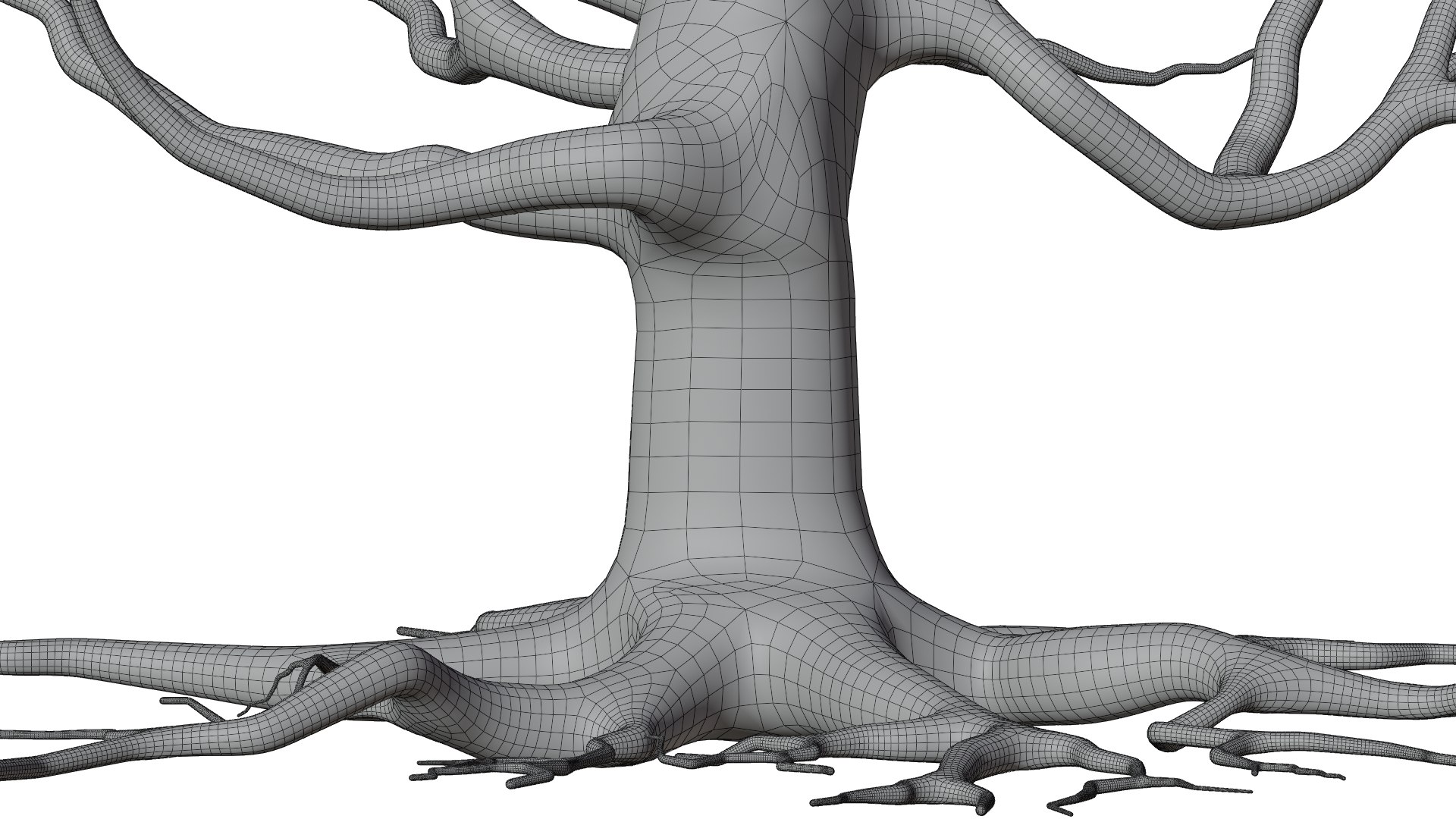 Oak Tree 3d Model Model - TurboSquid 1987527