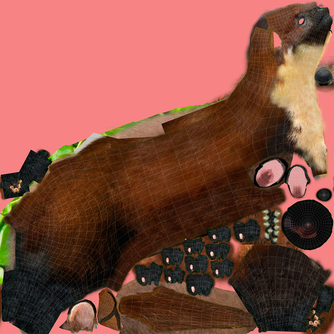 3d rigged marten fur animation