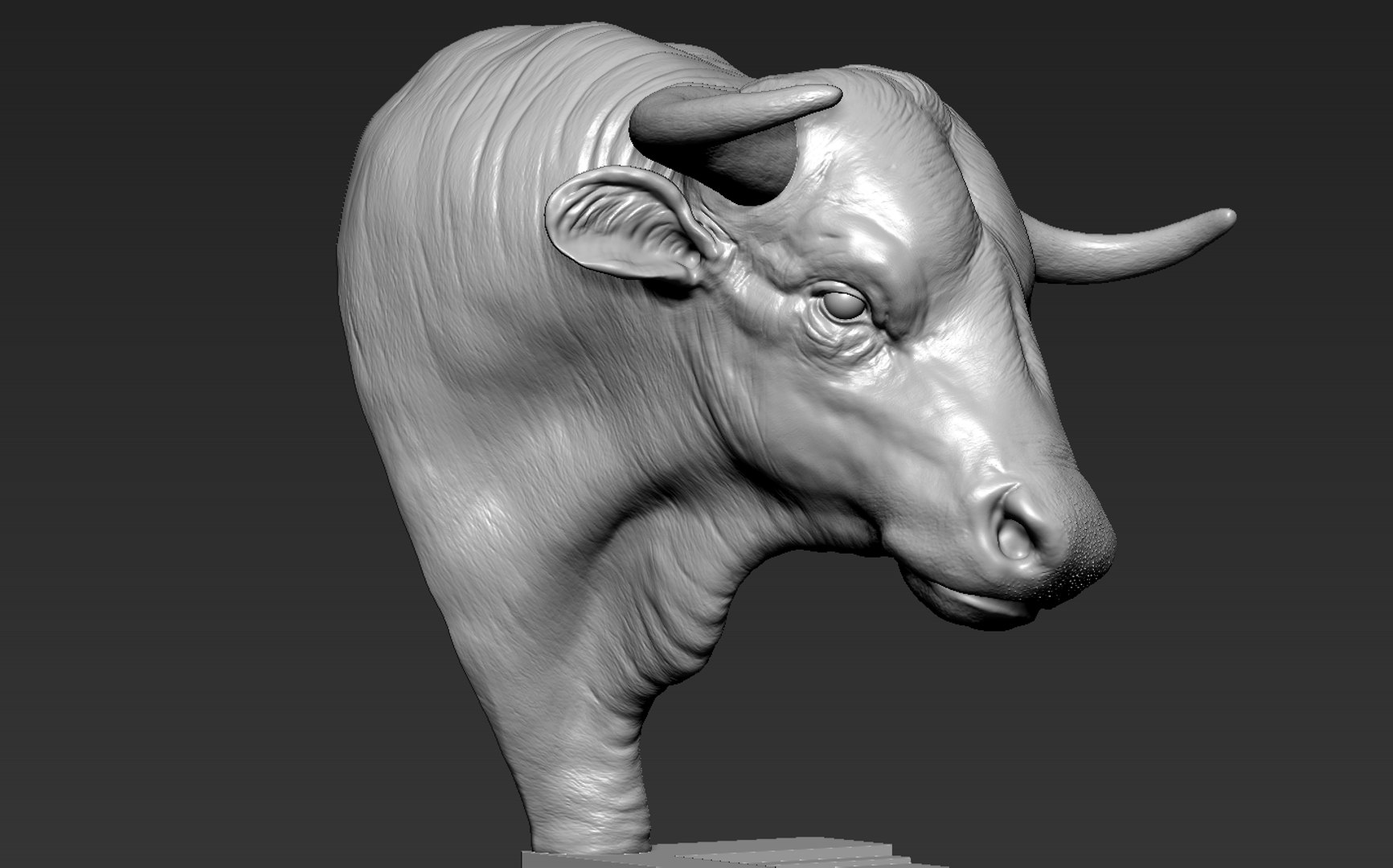 Head Bull 3D Model - TurboSquid 1739184