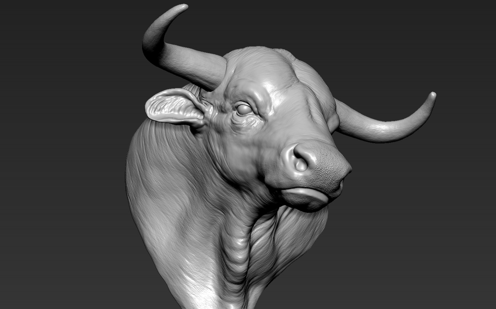 Head Bull 3D Model - TurboSquid 1739184