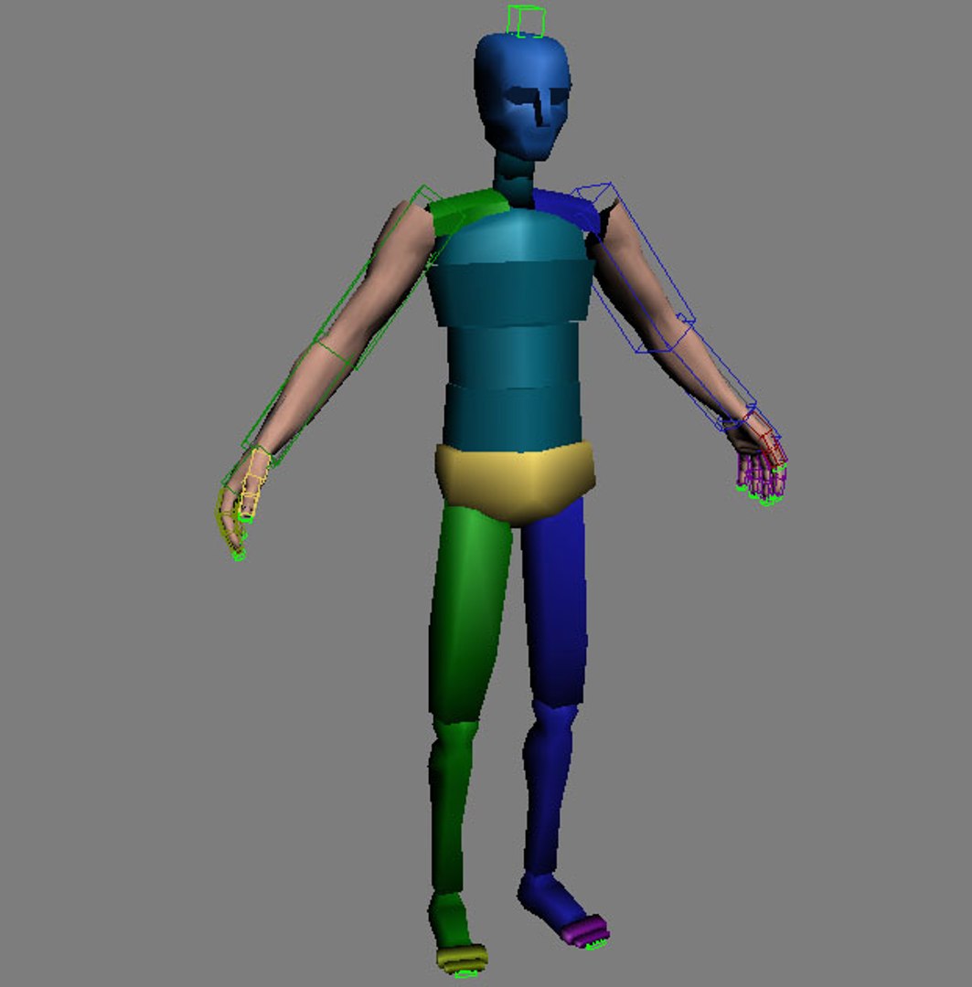 3d Model Of Male Arms