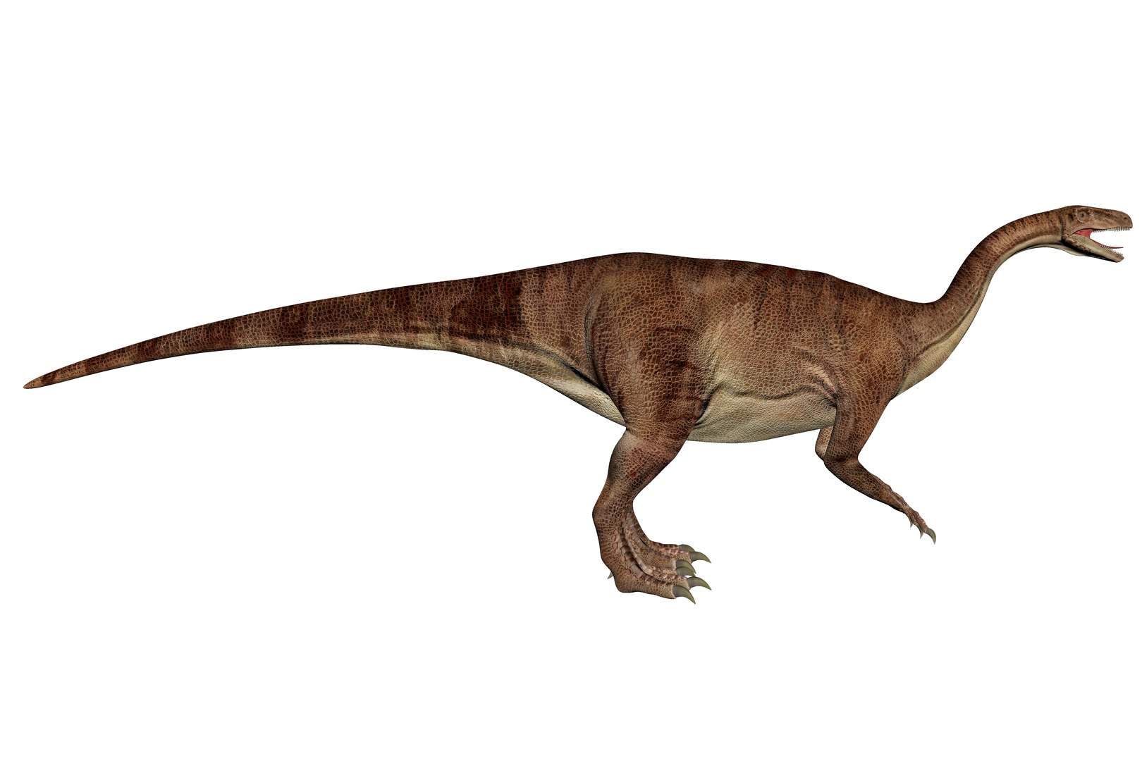 Plateosaurus Dinosaur Triassic Animal 3D - TurboSquid 2330070