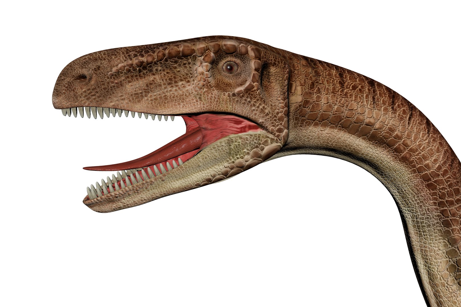 Plateosaurus Dinosaur Triassic Animal 3D - TurboSquid 2330070