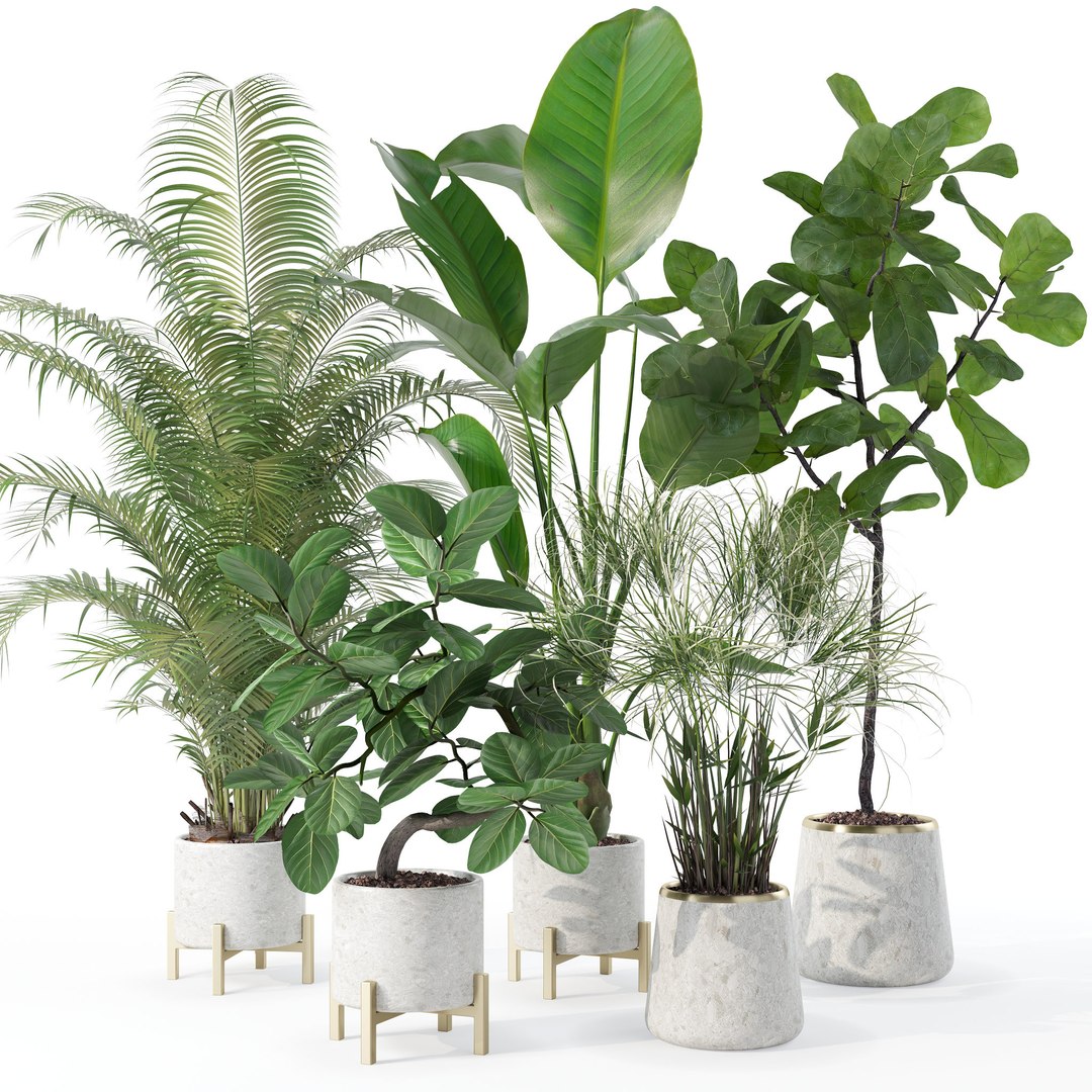 Plants Collection 120 3D Model - TurboSquid 1958879