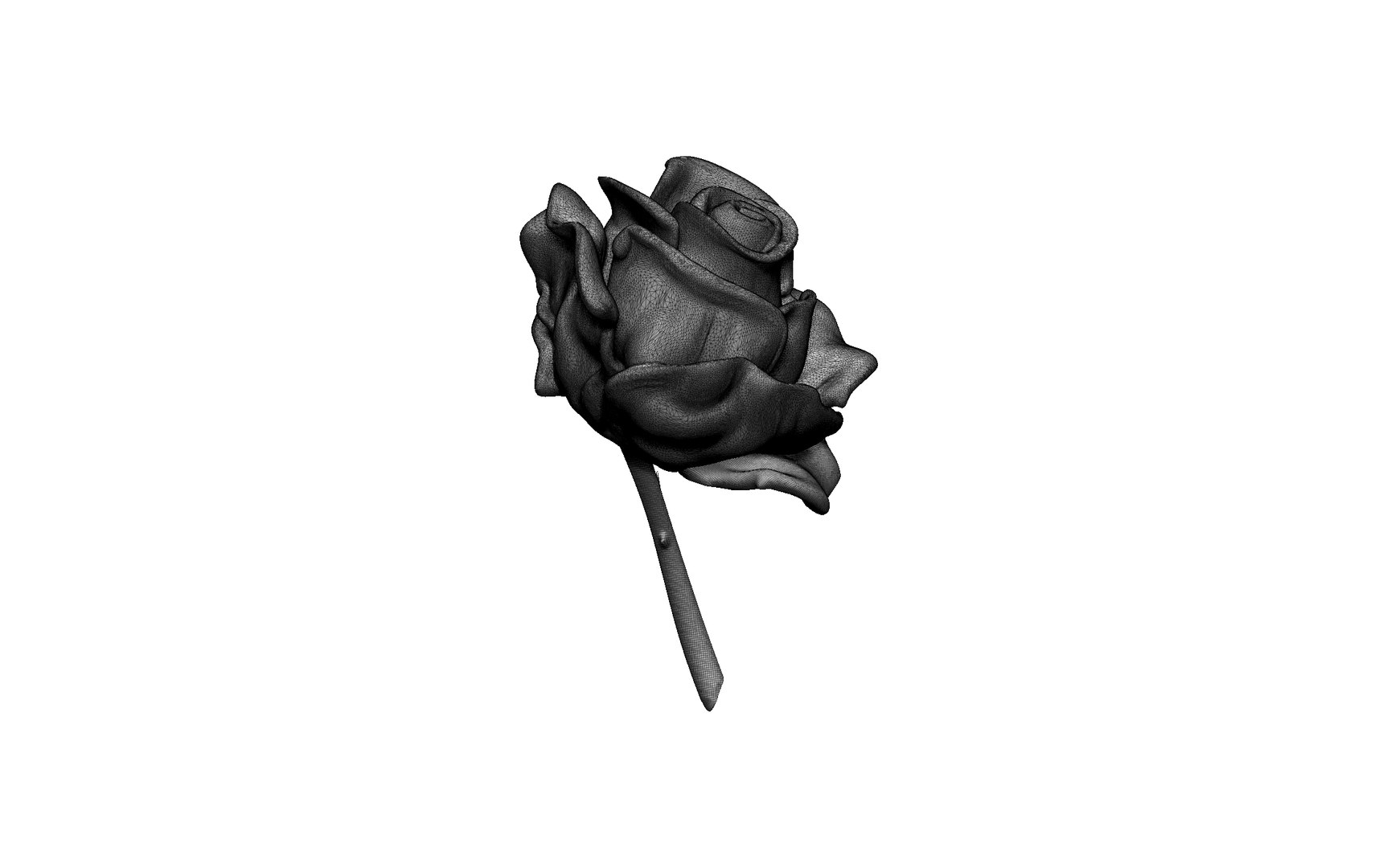 3D Rose Plant Thorns Model - TurboSquid 2123136