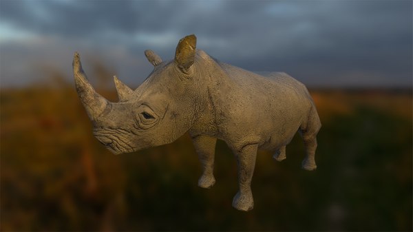 Free 3D Rhino Models | TurboSquid