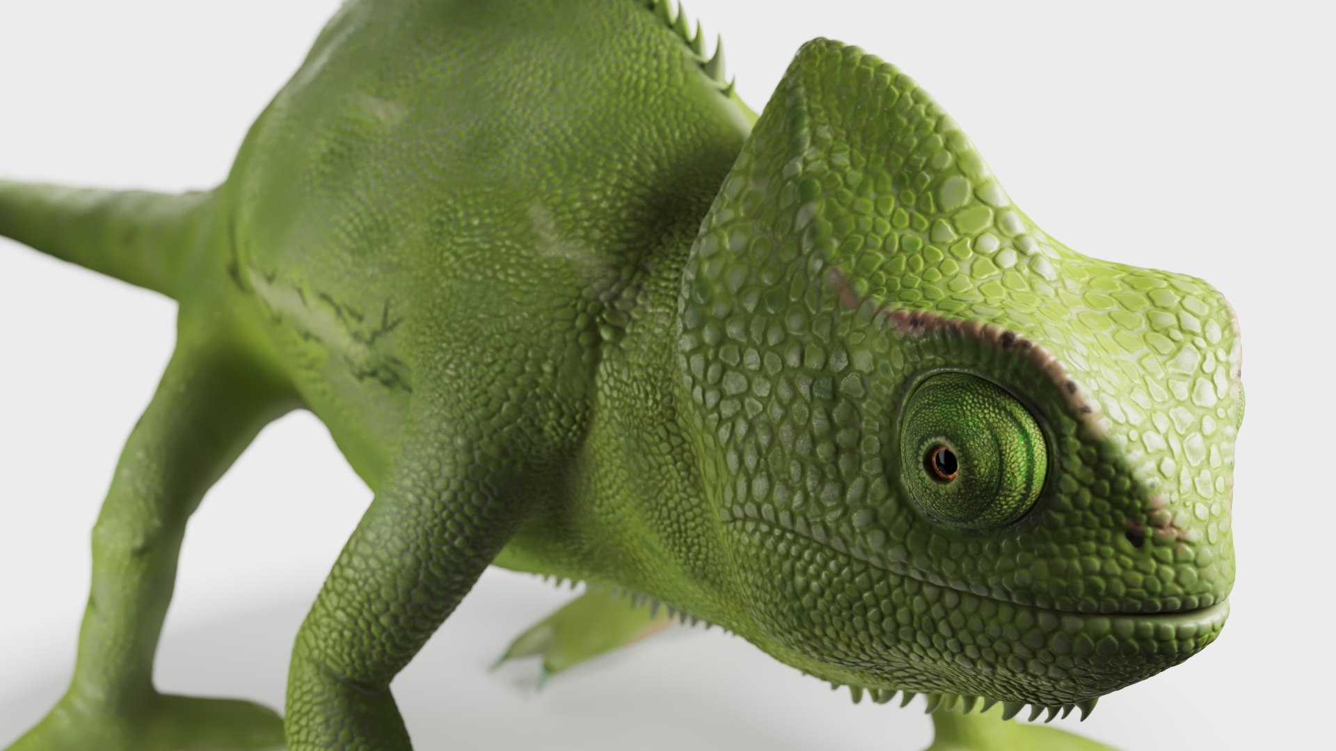 3D Chameleon Model - TurboSquid 1959917