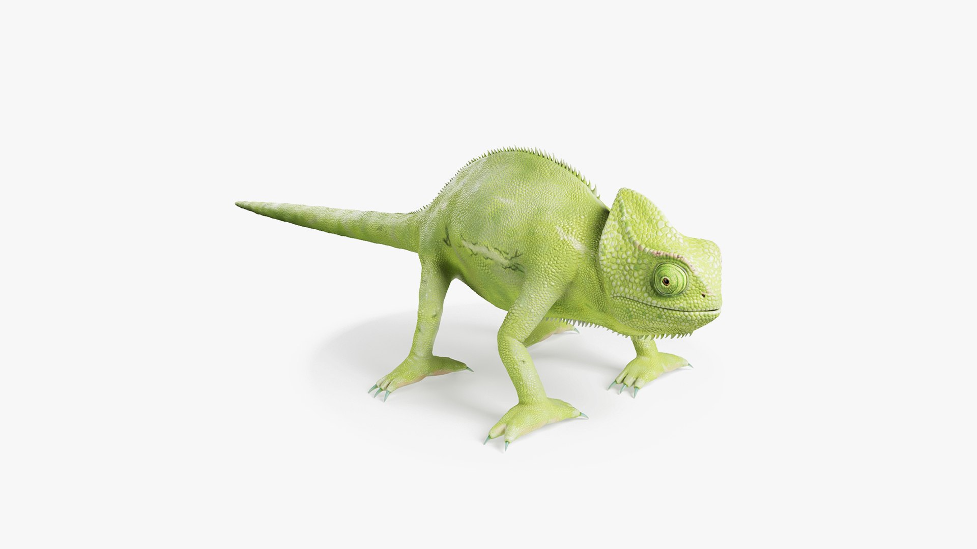 3D Chameleon Model - TurboSquid 1959917
