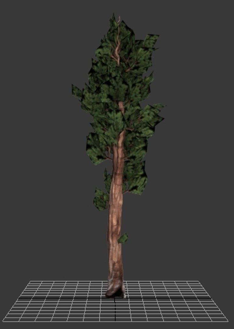 3ds Sequoia Tree