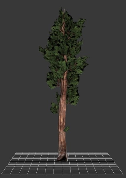 3ds sequoia tree