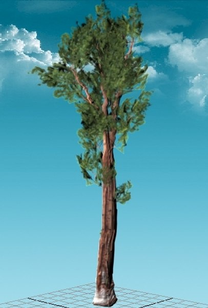 3ds sequoia tree