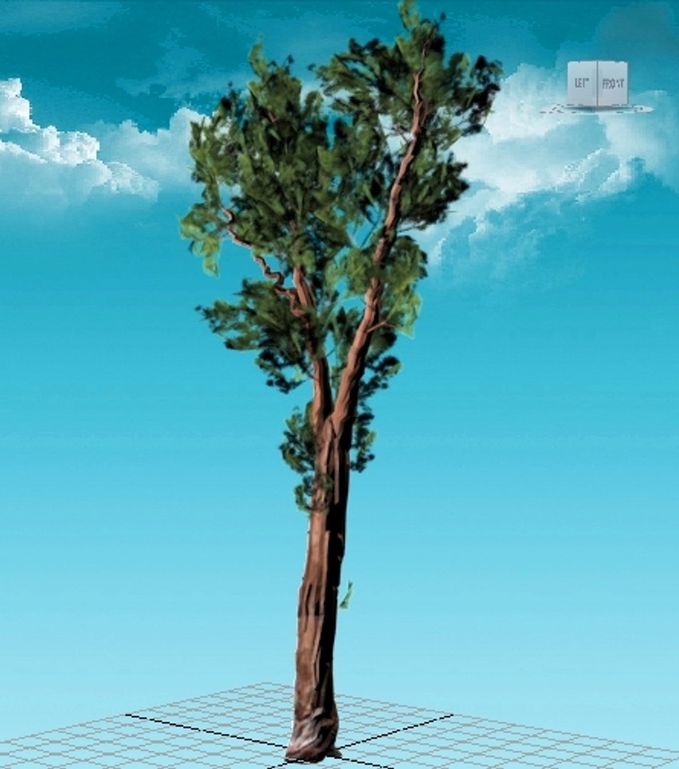 3ds Sequoia Tree