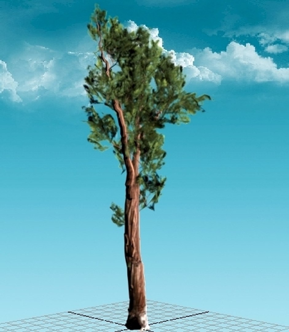 3ds Sequoia Tree