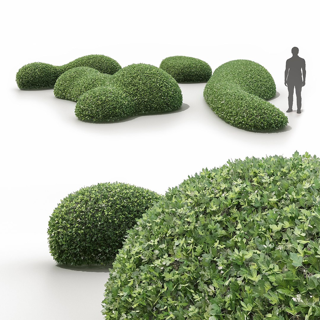 3D Topiary Bushes Model - TurboSquid 2247645