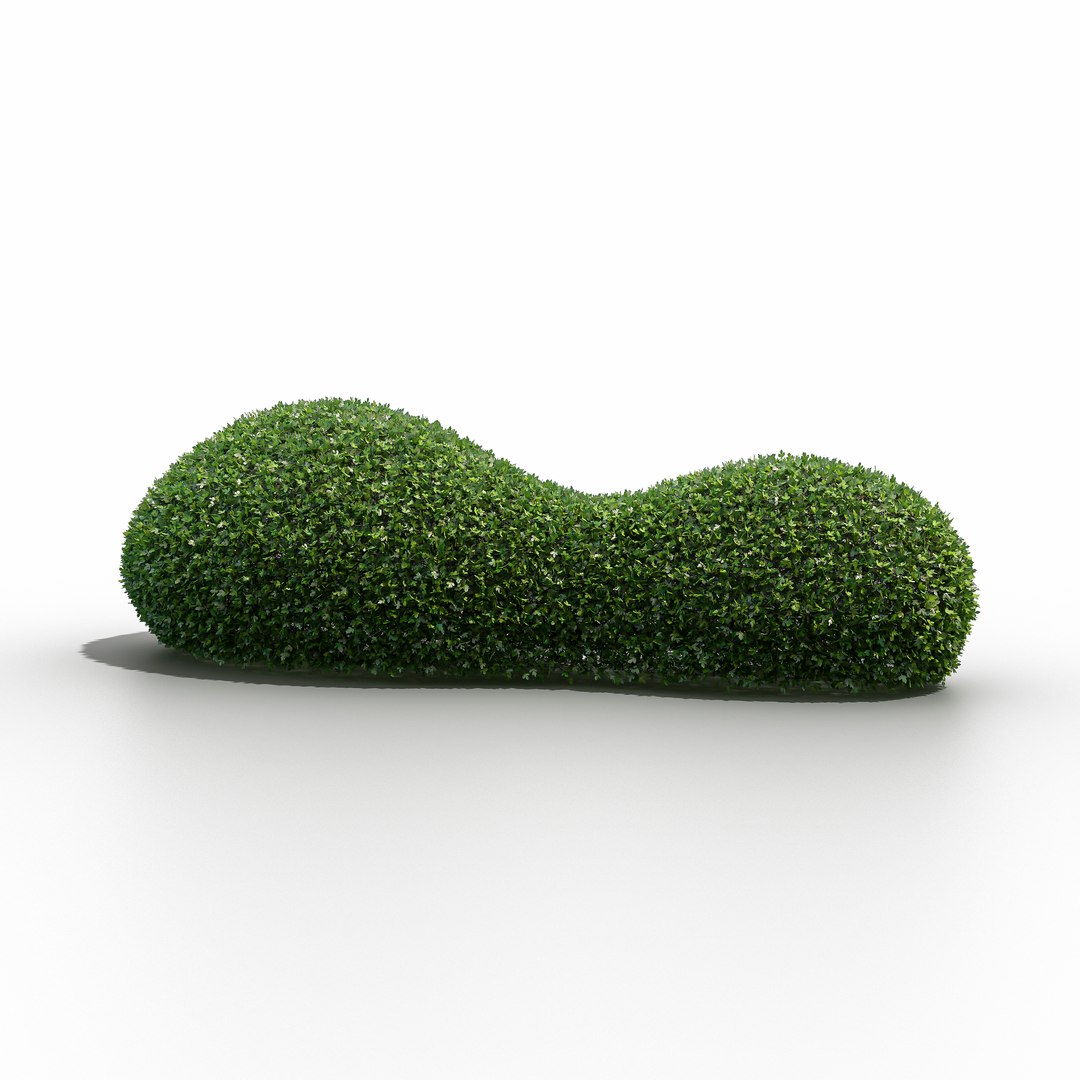 3D Topiary Bushes Model - TurboSquid 2247645