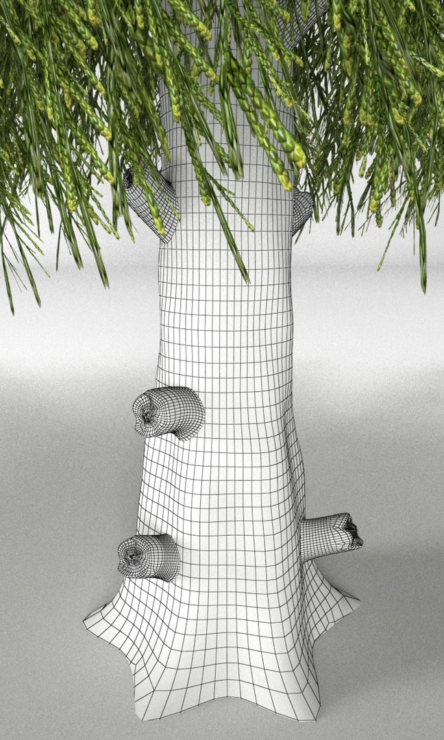 3d Cedar Tree
