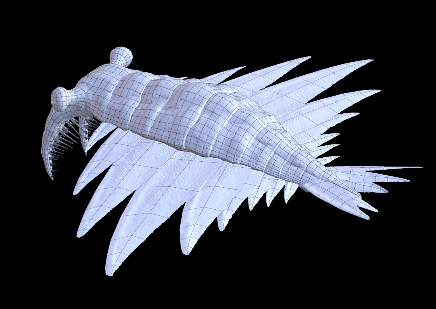 3D Anomalocaris Canadensis Model - TurboSquid 1318788