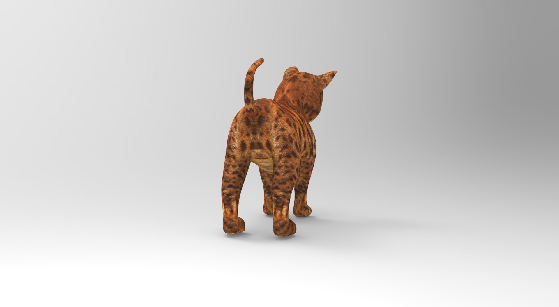 Cute cat rigged 3D model - TurboSquid 1160026