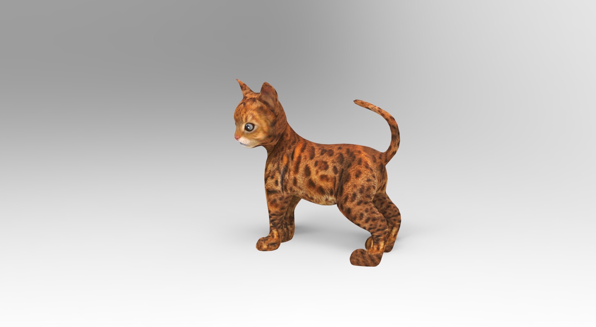 Cute cat rigged 3D model - TurboSquid 1160026