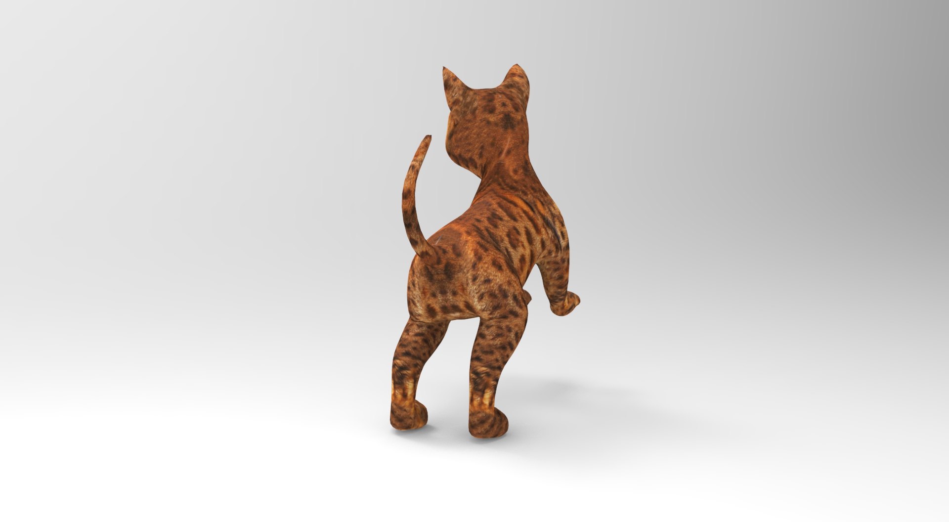Cute cat rigged 3D model - TurboSquid 1160026